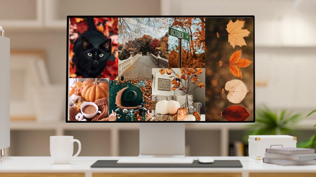 Black Cat Fall Desktop Wallpaper L Instant Download - Etsy