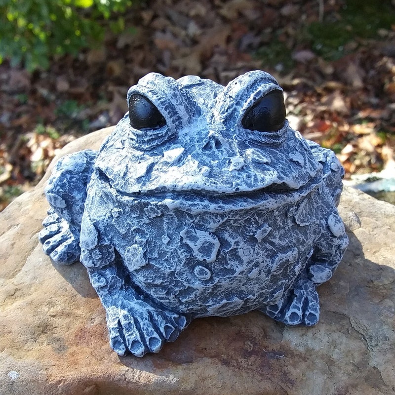 Concrete Toad - Etsy
