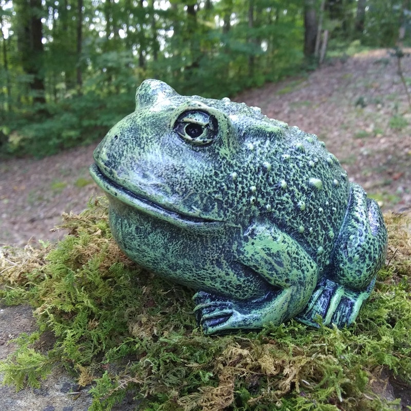 Concrete Toad - Etsy