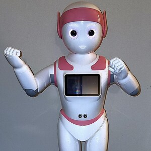Ipal Humanoid Companion Robot, With AI and Telepresence MINT CONDITION ...