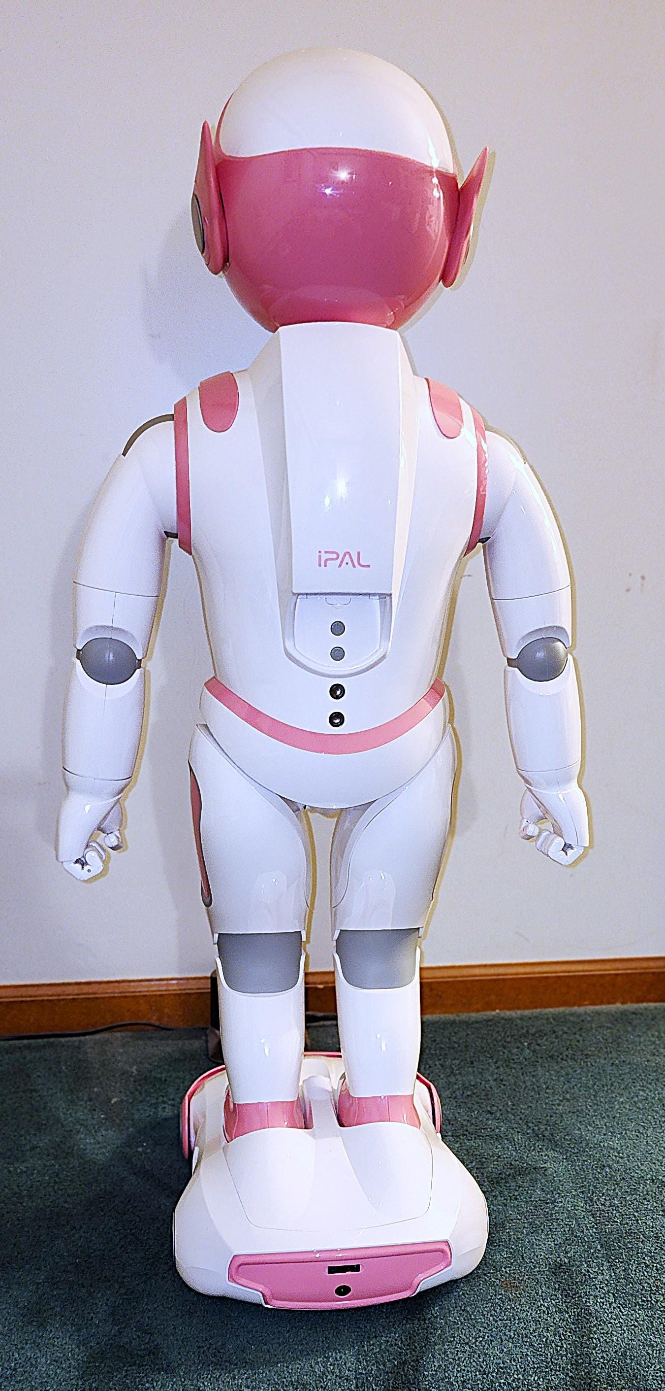Ipal Humanoid Companion Robot, With AI and Telepresence MINT CONDITION ...