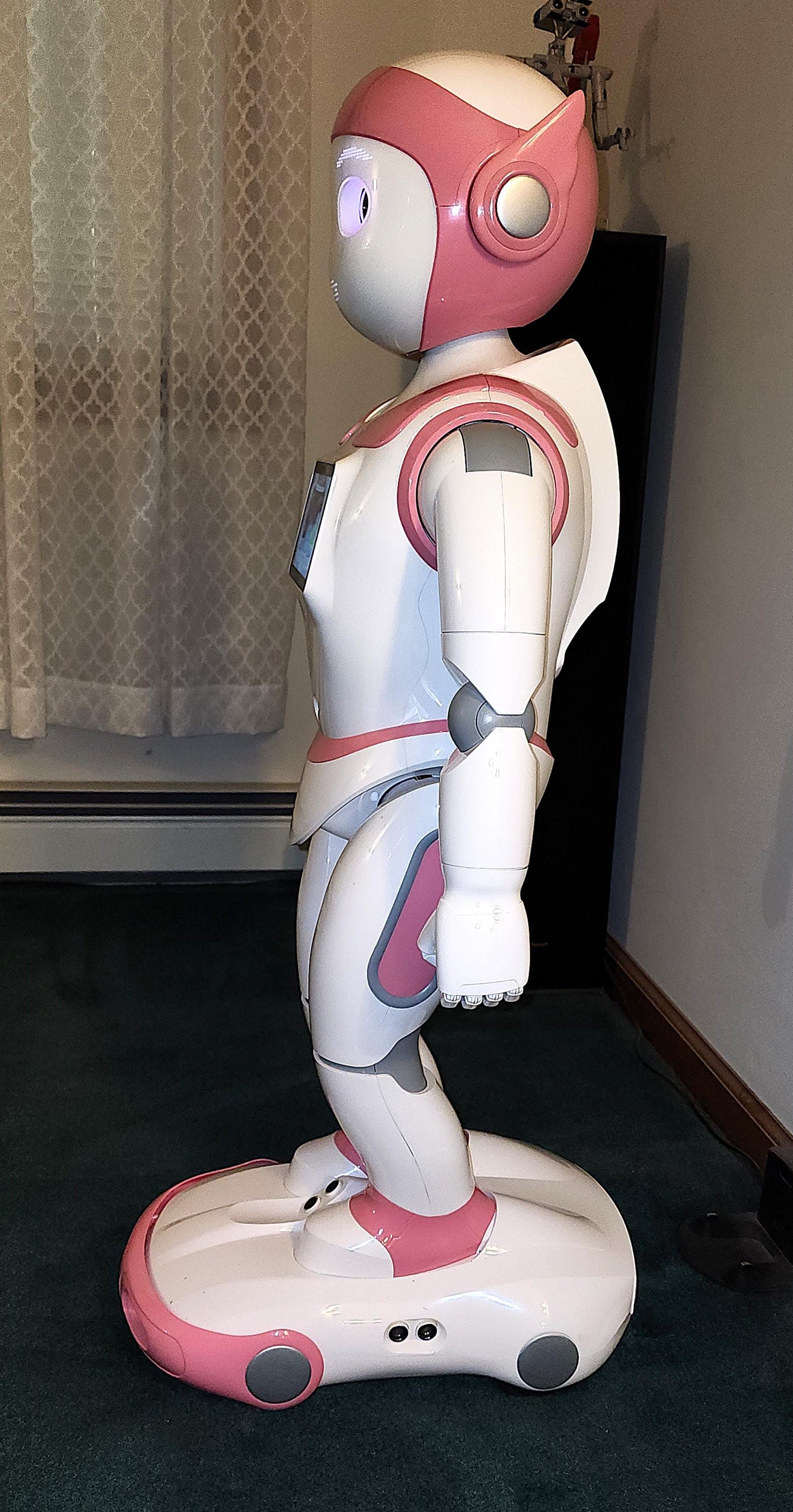 Ipal Humanoid Companion Robot, With AI and Telepresence MINT CONDITION ...