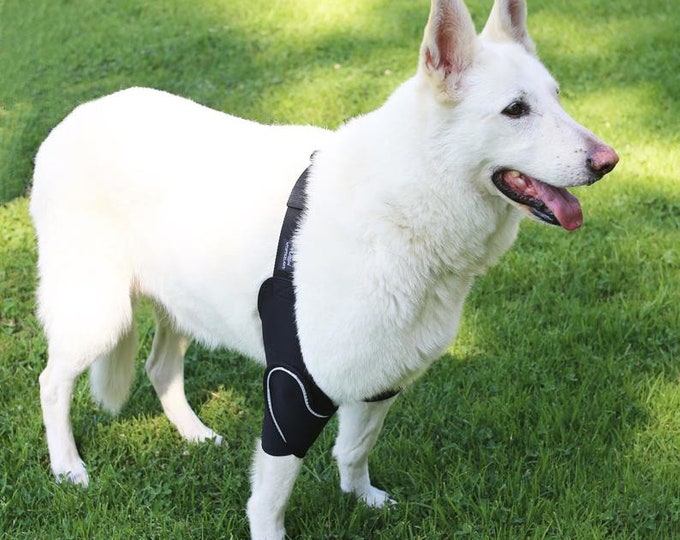 Adjustable K-9 Elbow Callus Pressure Sores Reflective Dog Elbow ...