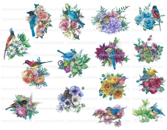 Visual Arts Digital Download Fall Birds Instant Download Printable ...