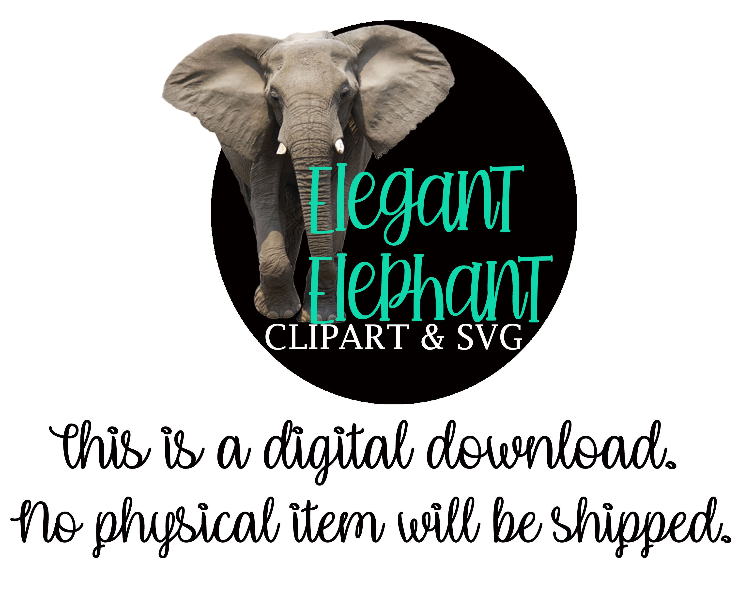 Kentucky Abbreviation State Outline Clipart SVG JPG PNG - Etsy