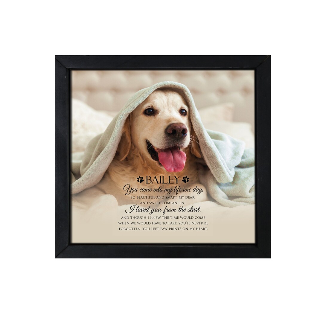 Personalized Pet Memorial Frame Shadow Box Frame Custom Pet Portrait ...