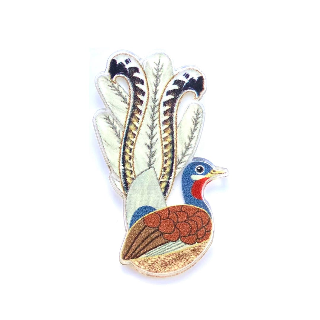 Superb Lyrebird Pin Recycled Plastics Eco-friendly Original Artwork ...