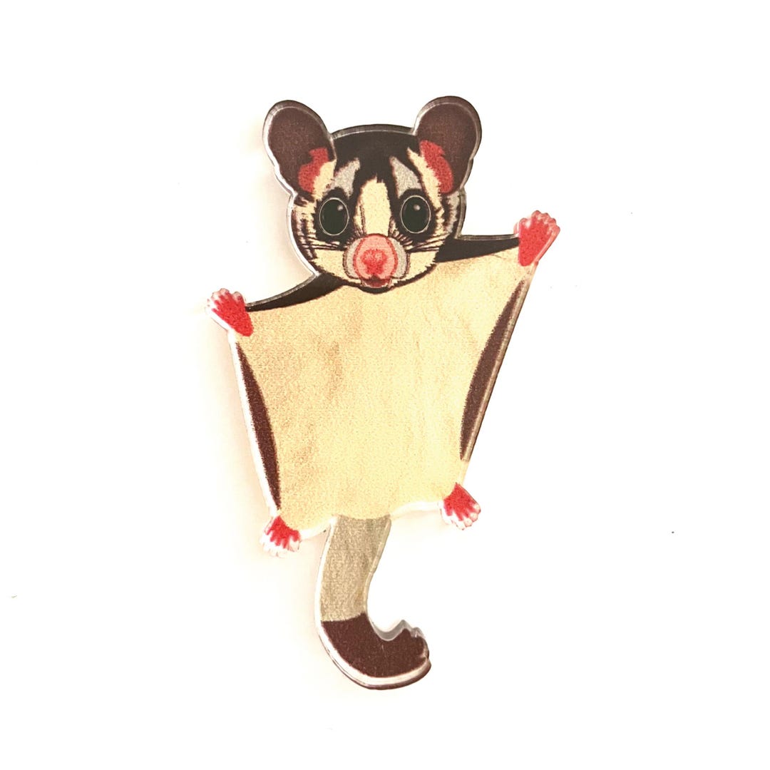 Sugar Glider Pin, Recycled Plastics, Eco-friendly, Original Artwork ...