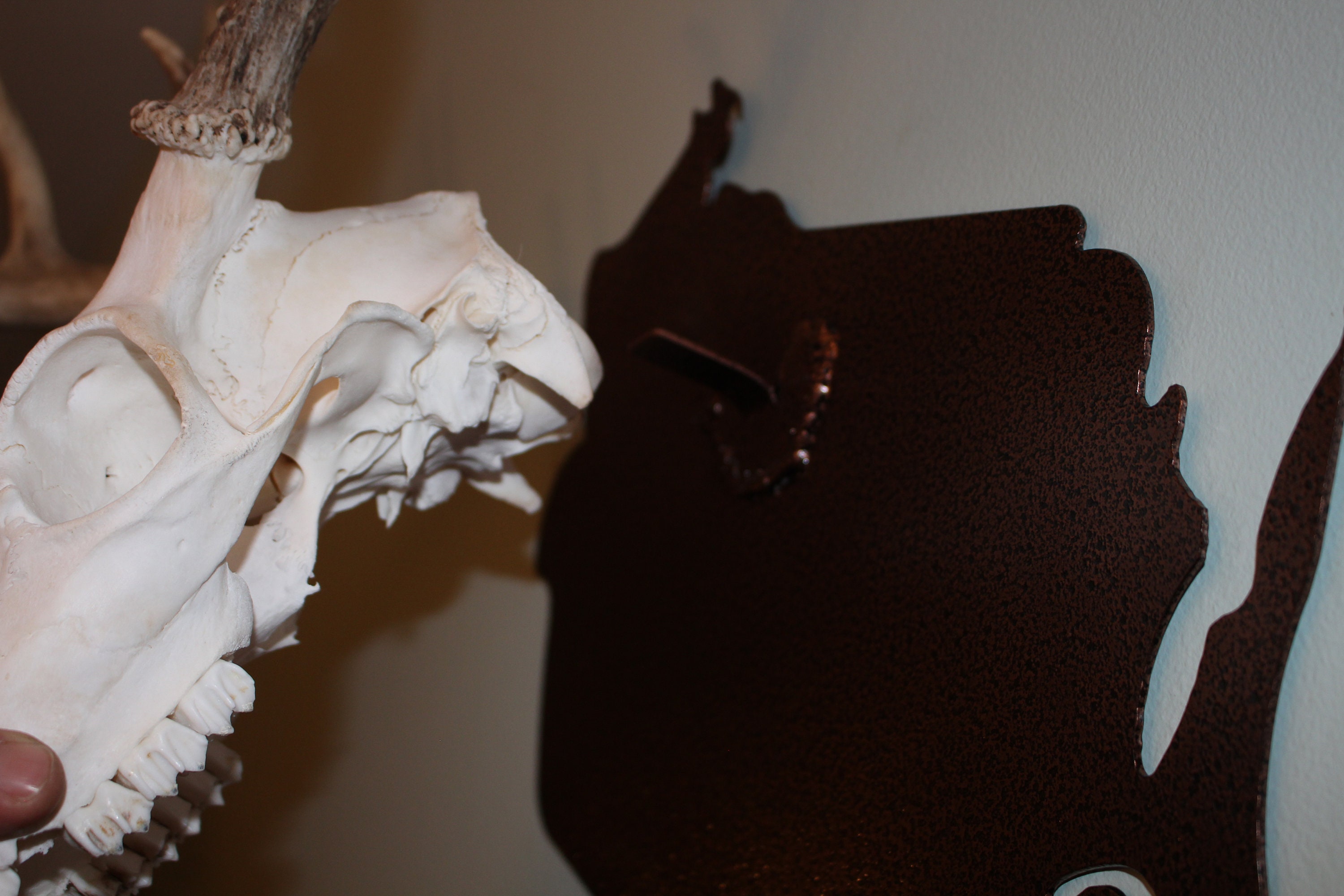 Euro Mount Hanger - Etsy