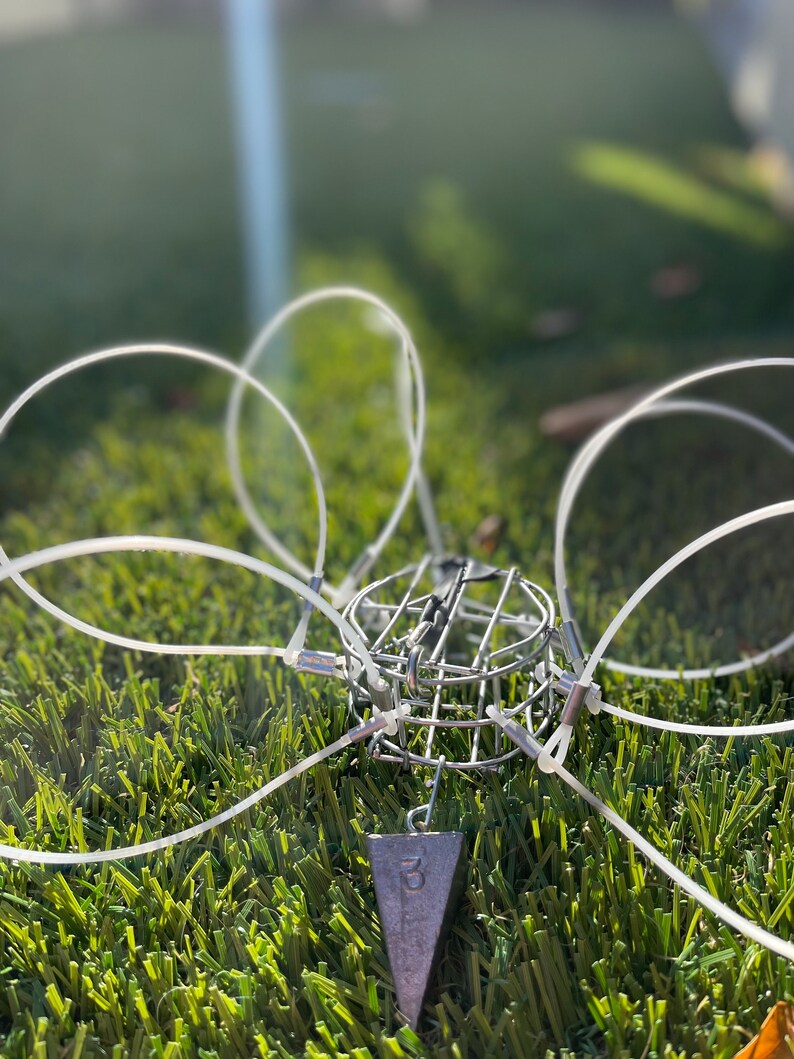 Dungee Bungee Circle Crab Snare 6 Loops - Etsy