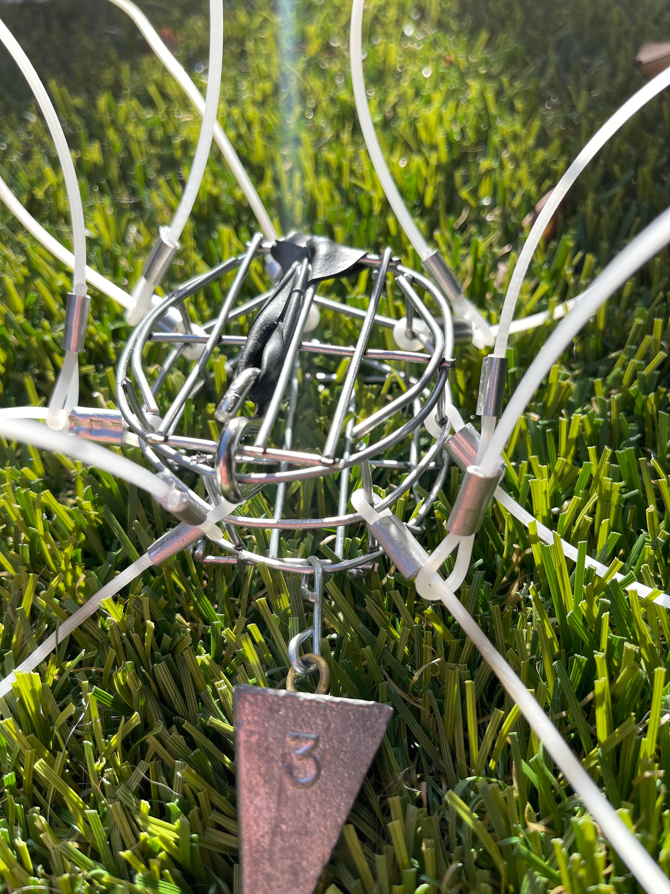 Dungee Bungee Circle Crab Snare 6 Loops - Etsy