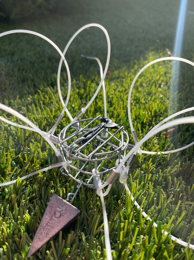 Dungee Bungee Circle Crab Snare 6 Loops - Etsy