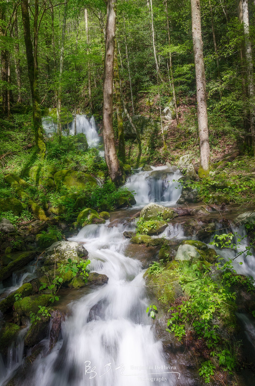 A Spring Waterfall Pops to Life in the Great Smoky Mountain National ...