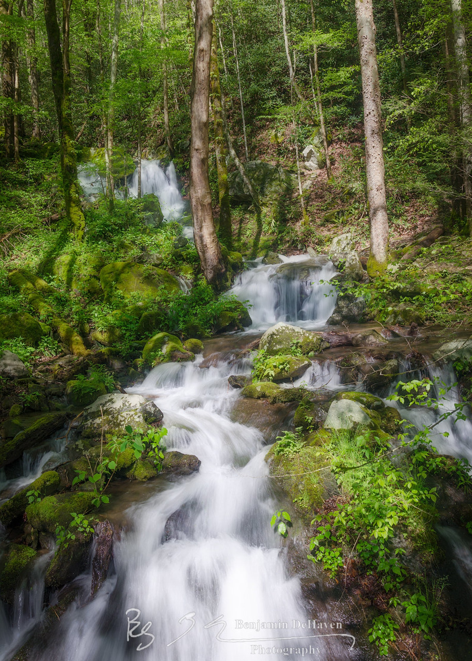 A Spring Waterfall Pops to Life in the Great Smoky Mountain National ...