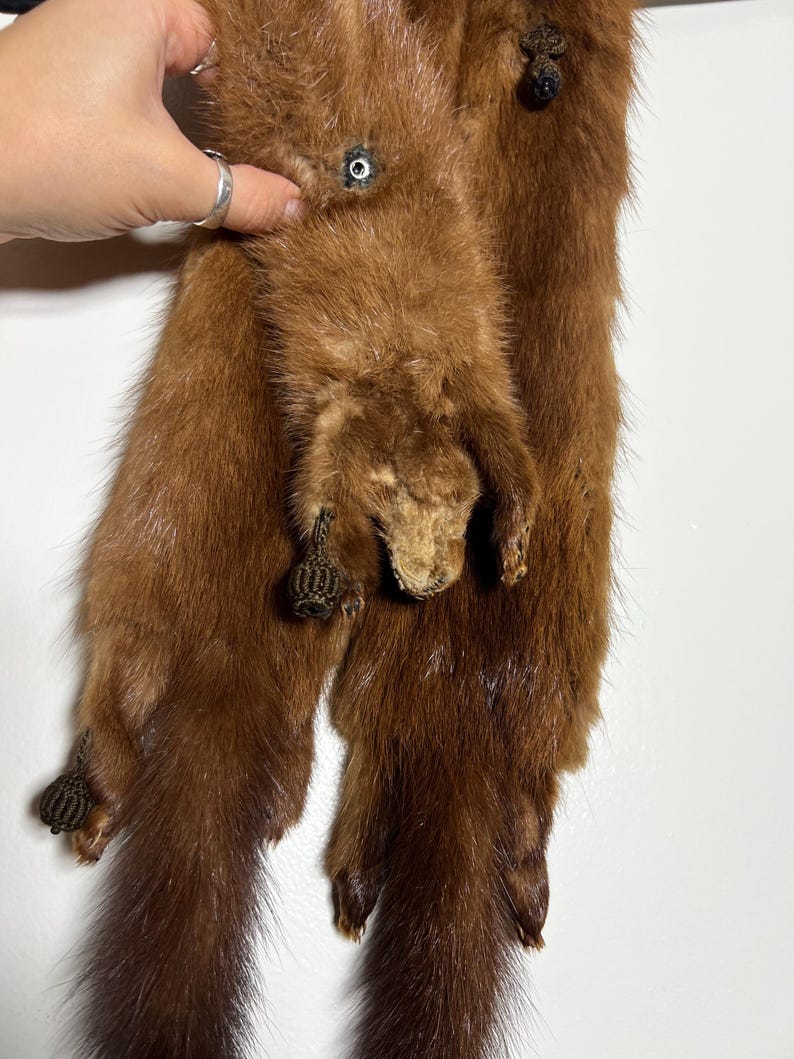 Vintage 1940's-1950's Brown Fur Taxidermy Pelt Collar - Mink Stole - Etsy