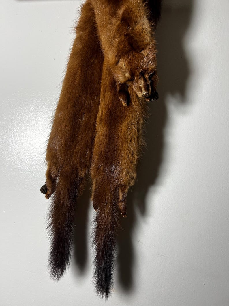 Vintage 1940's-1950's Brown Fur Taxidermy Pelt Collar - Mink Stole - Etsy