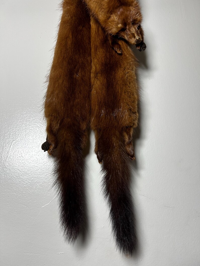 Vintage 1940's-1950's Brown Fur Taxidermy Pelt Collar - Mink Stole - Etsy