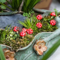 Fairy Garden Miniature Small Cupboard Terrarium Figurines Succulent ...