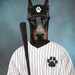 Baseball Pet Portrait, Custom Sport Player Costume Dog Portrait, MLB ...