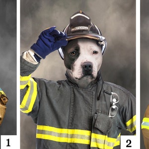 Custom Pet Fireman Portrait, Fireman Uniform, Fire Department , FDNY ...