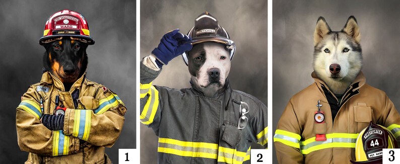Custom Pet Fireman Portrait, Fireman Uniform, Fire Department , FDNY ...