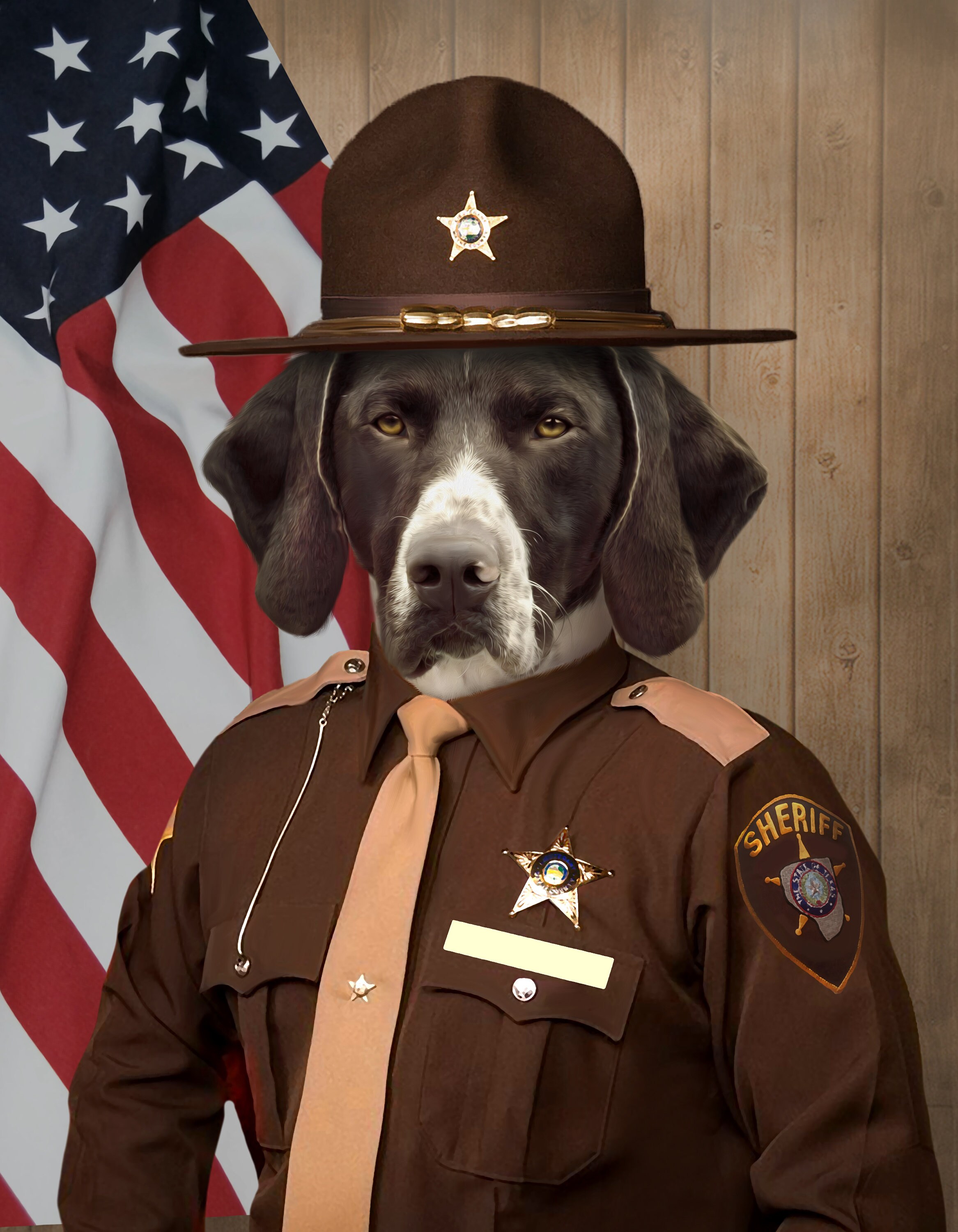 Custom Pet Cowboy Portrait, Sheriff, Marshal, Funny Pet Portrait, Funny ...