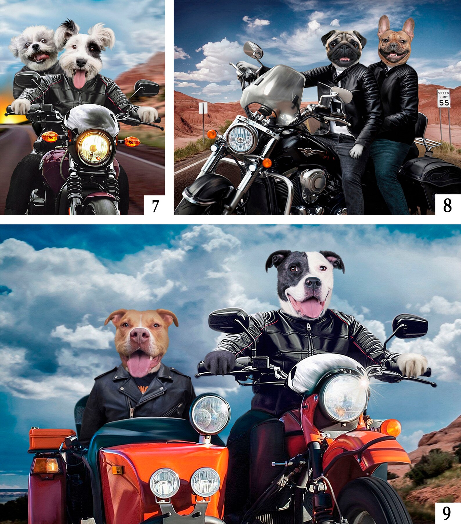 Custom Pet Biker Portrait, Rider, Motorcyclist, Hooligan, Bully, Funny ...