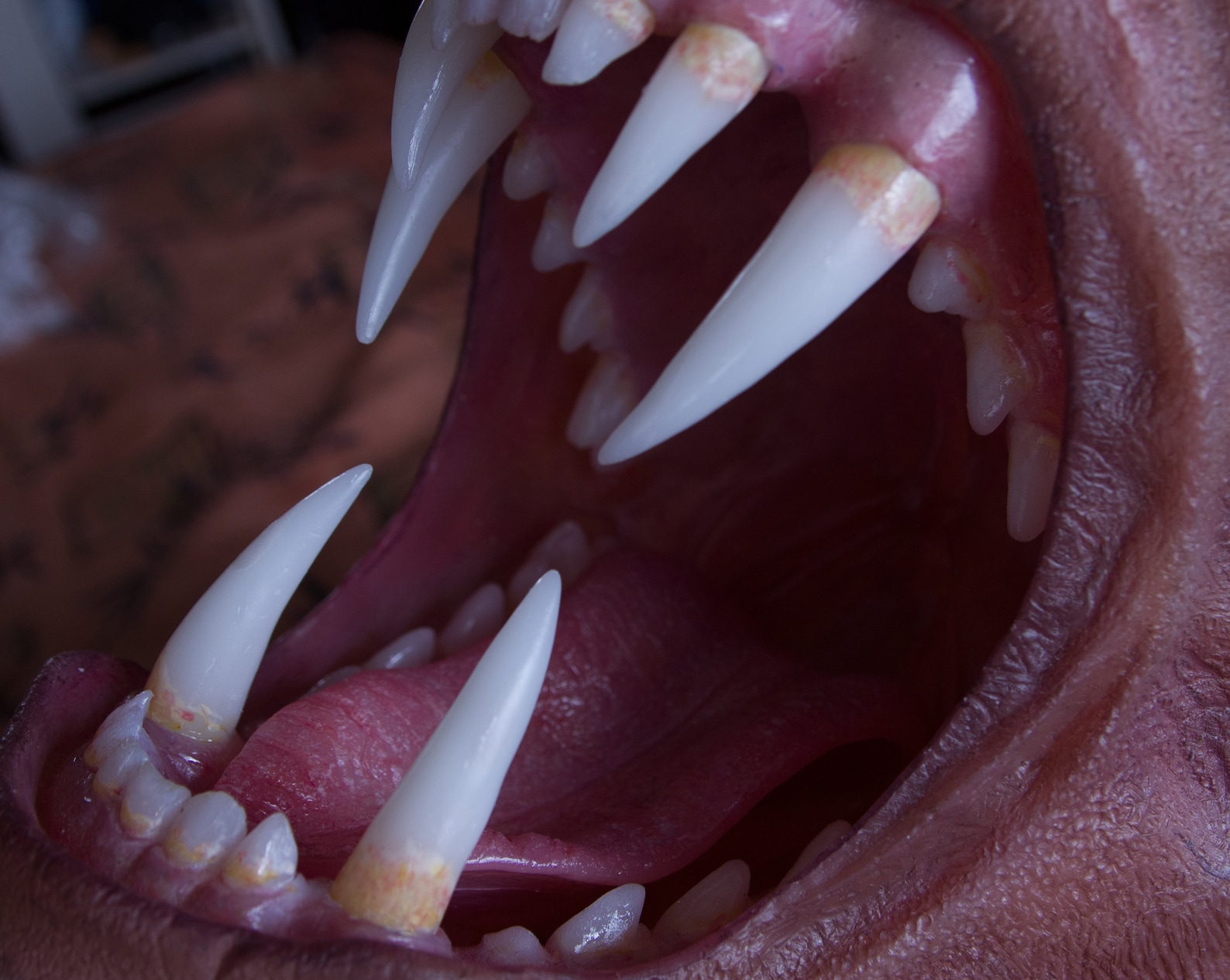 Teeth monster Blanks replica. Animal teeth. Werewolf fangs. | Etsy