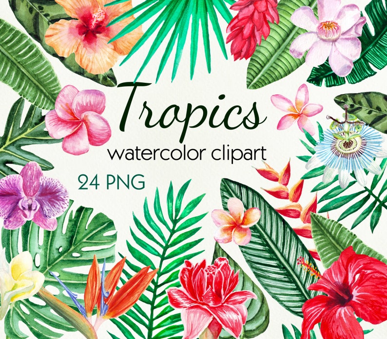 Watercolor Tropical Leaves Clip Art Tropic Palm Leaf Hawaii | Etsy