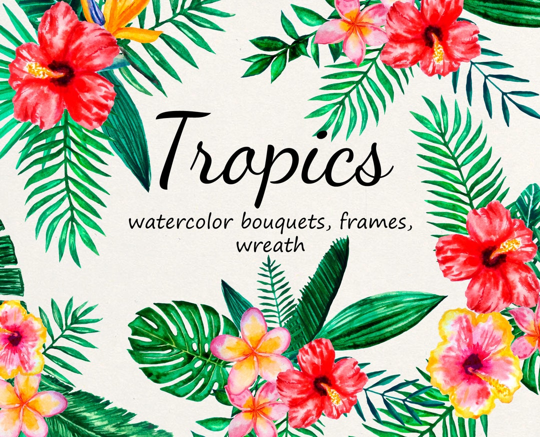 Watercolor Tropical Flowers Clipart. Frames, Bouquets Set for Instant ...