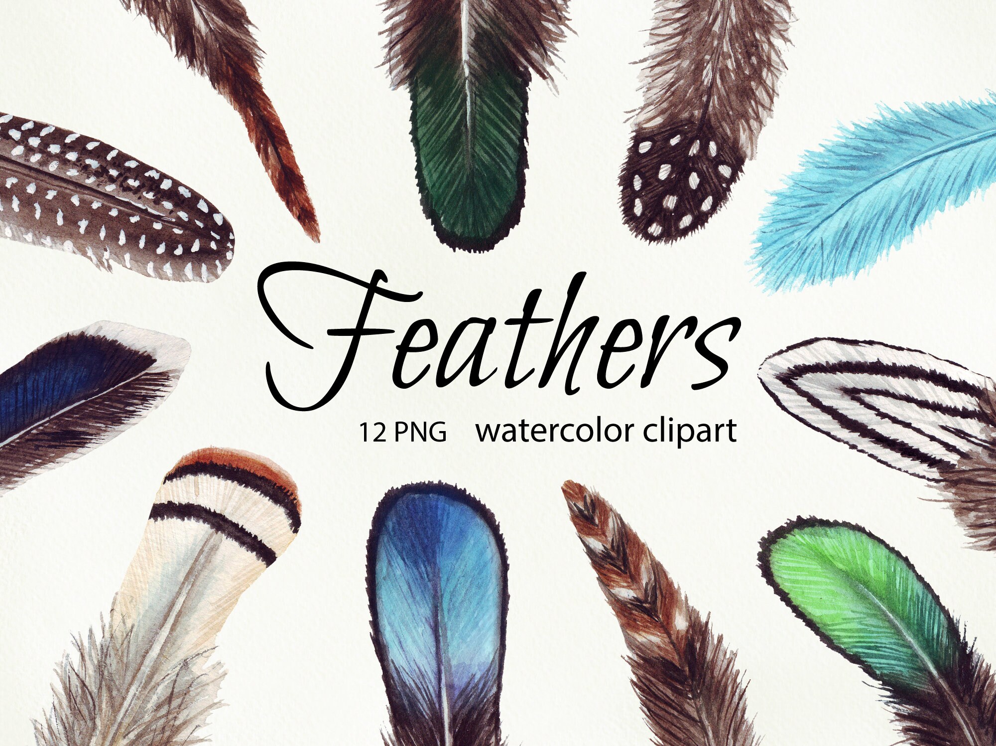 Watercolor Feather Clipart, Bird Boho Feathers Set, Wedding Invitation ...