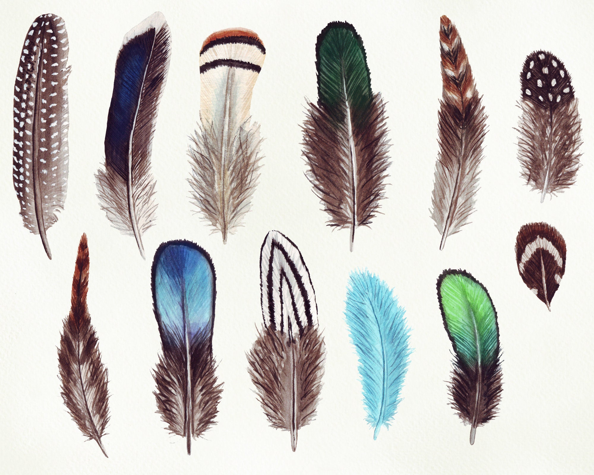 Watercolor Feather Clipart, Bird Boho Feathers Set, Wedding Invitation ...