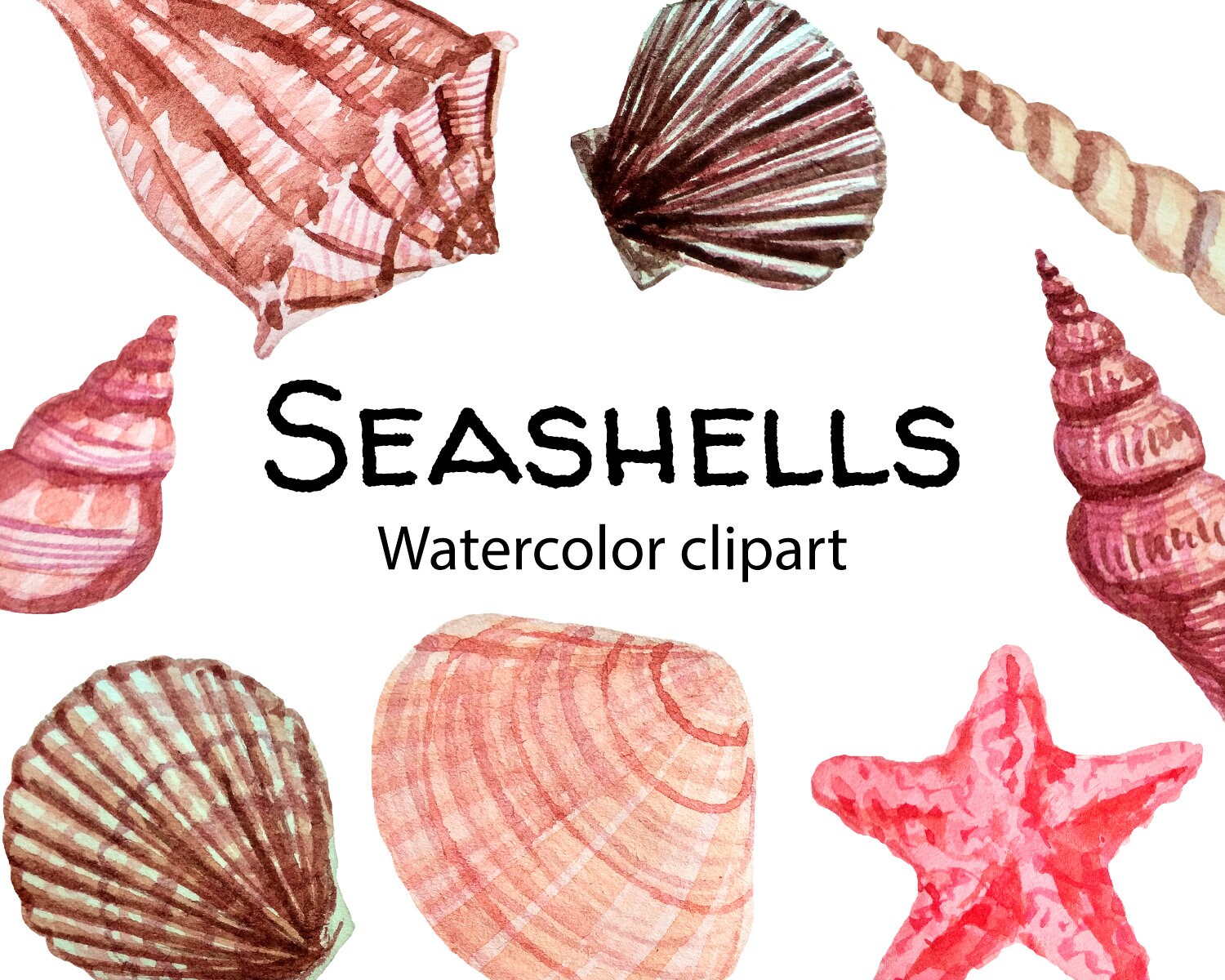 Watercolor Seashells Clipart Nautical Watercolor Clip Art Ocean Shells ...