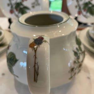 Seltmann Weiden Marie-luise Waldbeere Porcelain Tea and Pastry Service ...