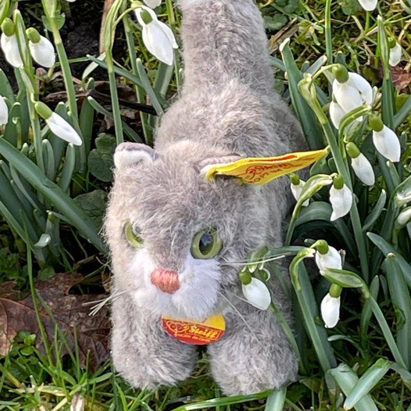 Steiff Cat - Etsy
