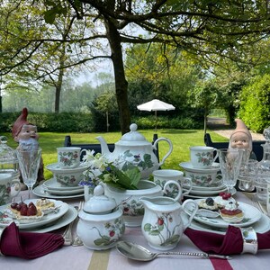 Seltmann Weiden Marie-luise Waldbeere Porcelain Breakfast Service, FREE ...