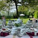 Seltmann Weiden Marie-luise Waldbeere Porcelain Breakfast Service, FREE ...