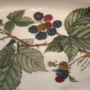 Seltmann Weiden Marie-luise Waldbeere Porcelain Tea and Pastry Service ...