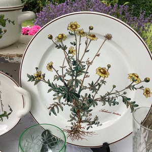 Villeroy & Boch Botanica Diner Servies für 6 Personen - Etsy.de