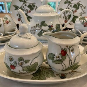Seltmann Weiden Marie-luise Waldbeere Porcelain Tea and Pastry Service ...