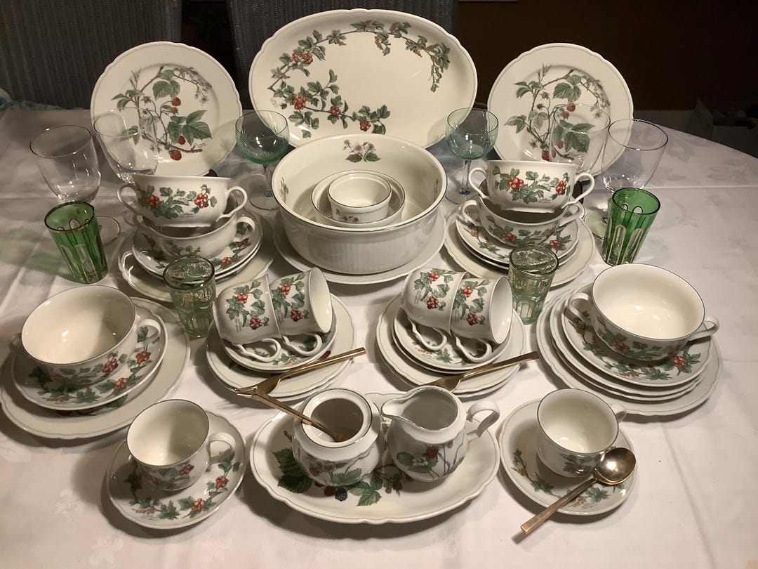 Seltmann Weiden Marie-luise Waldbeere Lunch/ Brunch Service for 6 Place ...