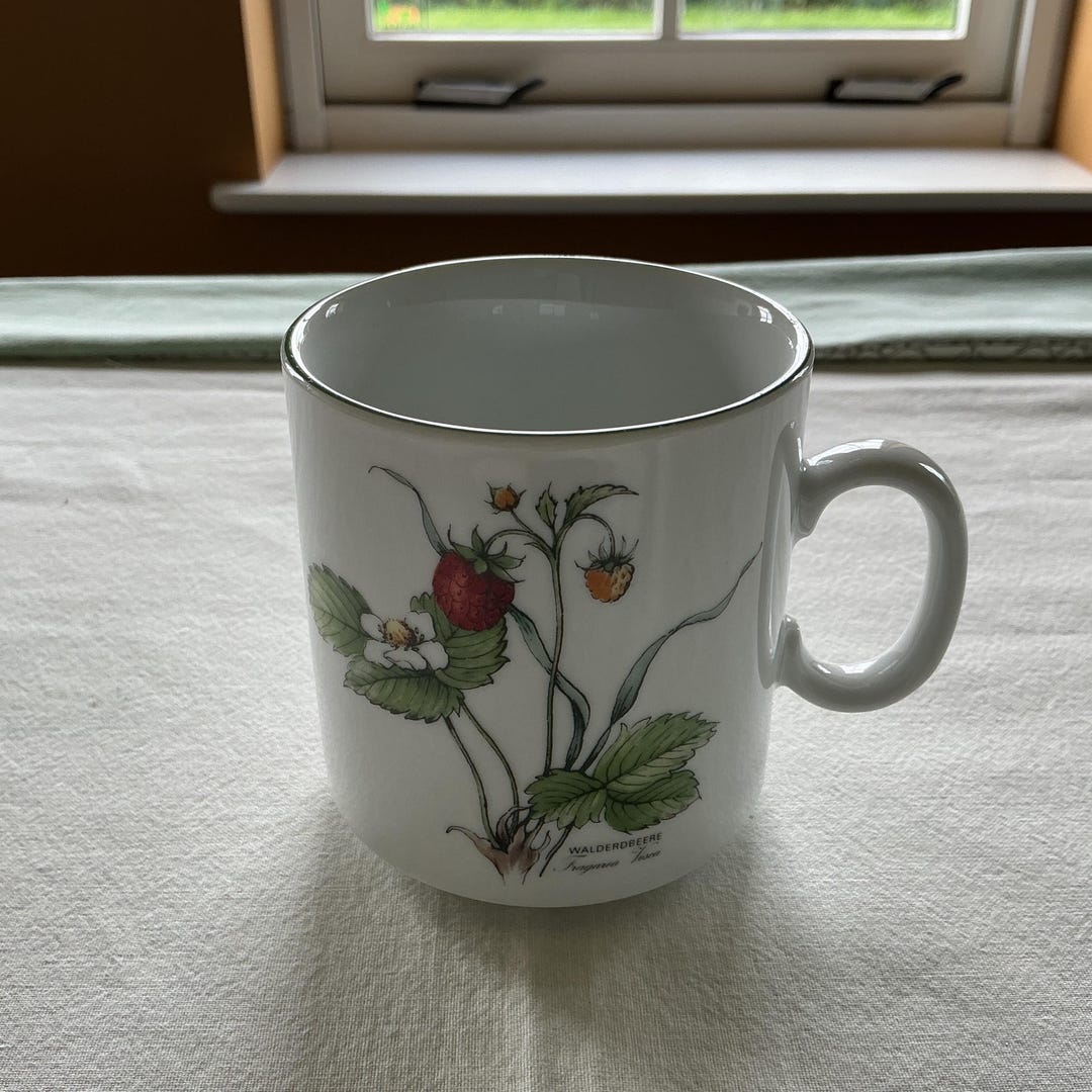 Seltmann Weiden Marie-luise Waldbeere Mug, Gift for Her, Birthday Gift ...