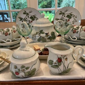 Seltmann Weiden Marie-luise Waldbeere Porcelain Tea and Pastry Service ...