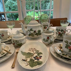 Seltmann Weiden Marie-luise Waldbeere Porcelain Tea and Pastry Service ...