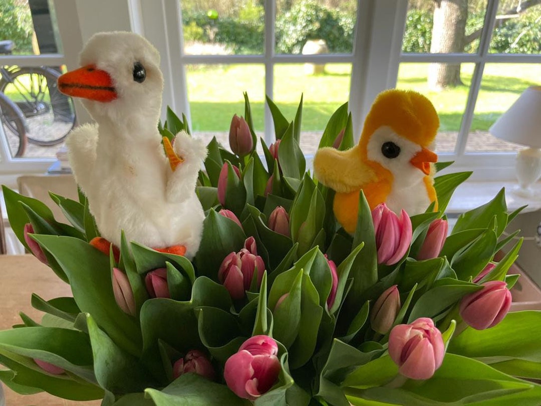 Steiff Yellow Chick 5564/10 and White Duck 6205/14, FREE SHIPPING ...