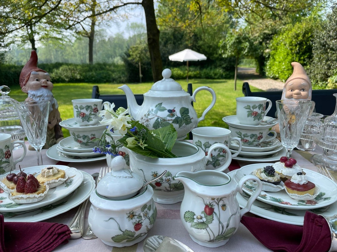 Seltmann Weiden Marie-luise Waldbeere Porcelain Breakfast Service, FREE ...