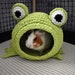 Guinea Pig Frog House for Cage. Small Pet House. Funny Guinea - Etsy
