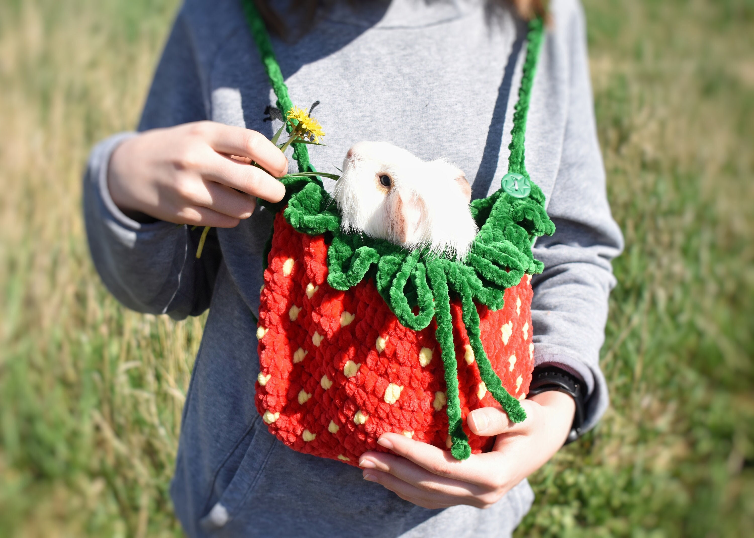 Guinea Pig Strawberry Carrier | Small Pet Soft Cozy Carrier | Small Pet ...
