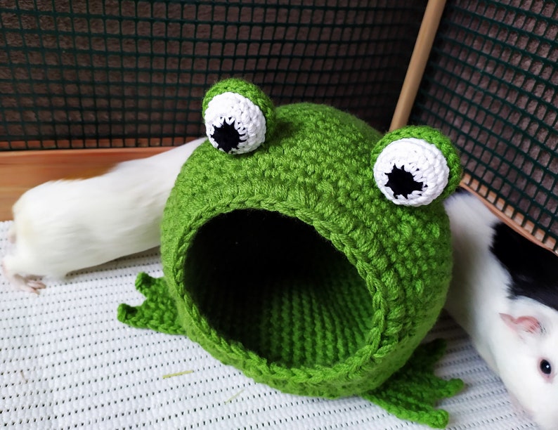 Guinea pig frog house for cage. Small pet house. Funny guinea | Etsy