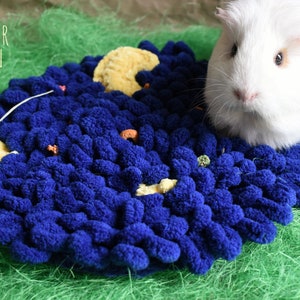 Space Snuffle Mat for Guinea Pig or Small Pets | Guinea Pig Foraging ...
